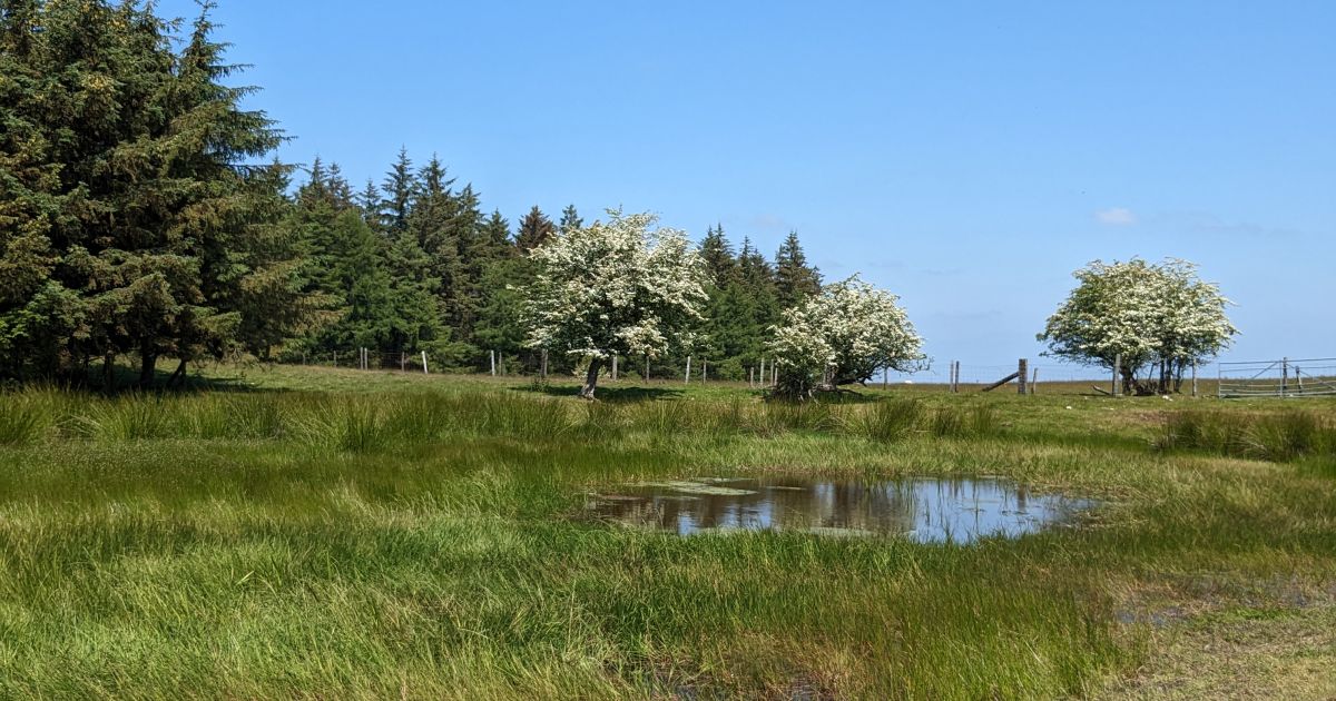 Knighton Circuit - Ramblers